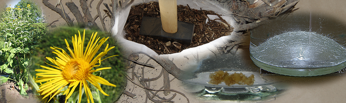 Tools and Know-How to Distill Essential Oils at Home